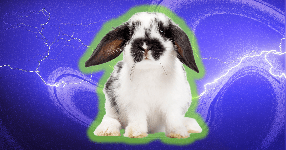 Glowing bunnies and real-life unicorns: Biohacking is coming for our ...
