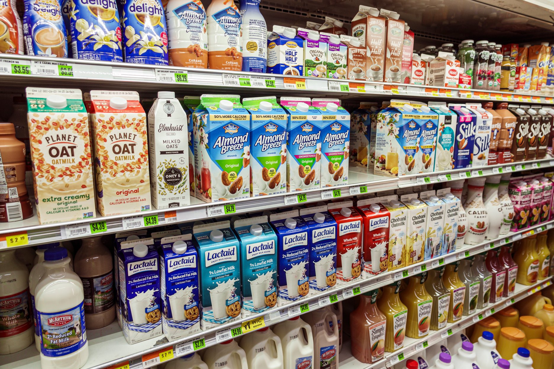 Why everybody’s drinking milk again