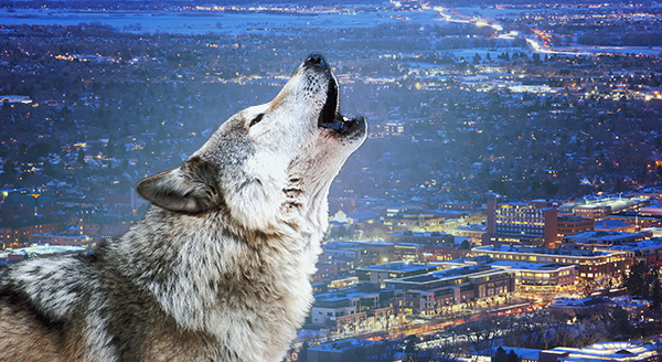 Stories - The Hustle