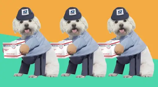 CIA BBQ sauce and DEA baby bottles: The business of government merch ...