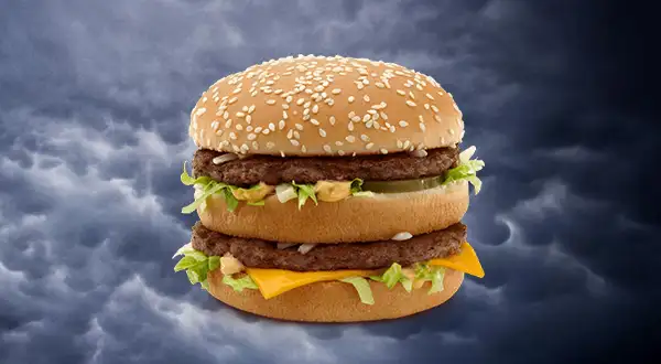 A royal pain in the buns: The unlikely winner of Europe’s battle for ...