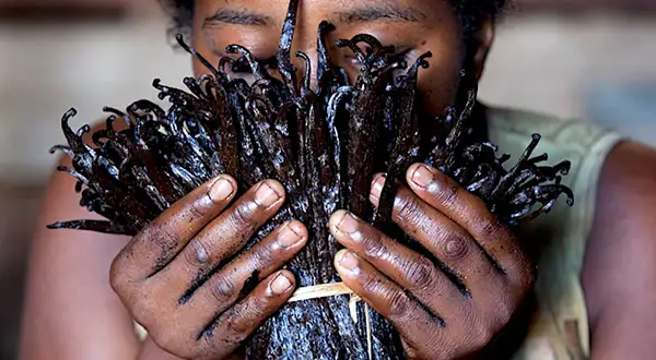 Vanilla volatility caused a shortage of ice cream and a surplus of ...